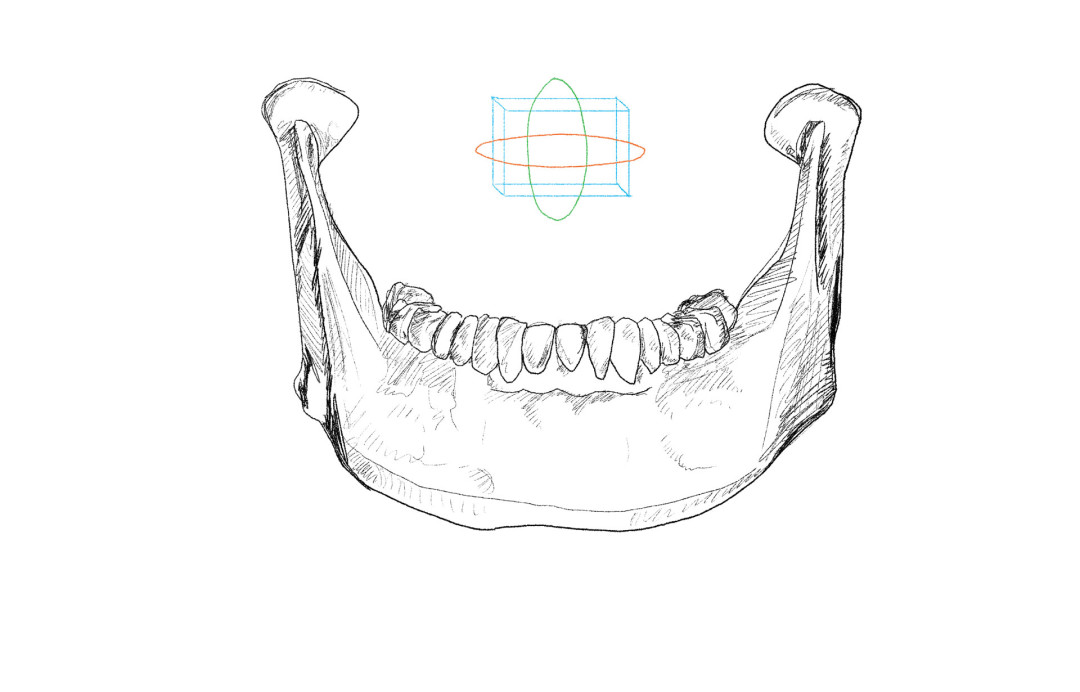 The mandibular pathway - Digital Occlusion